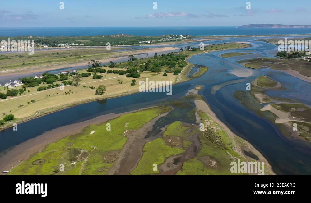 Wildlife sea estuary Stock Videos & Footage - HD and 4K Video Clips - Alamy