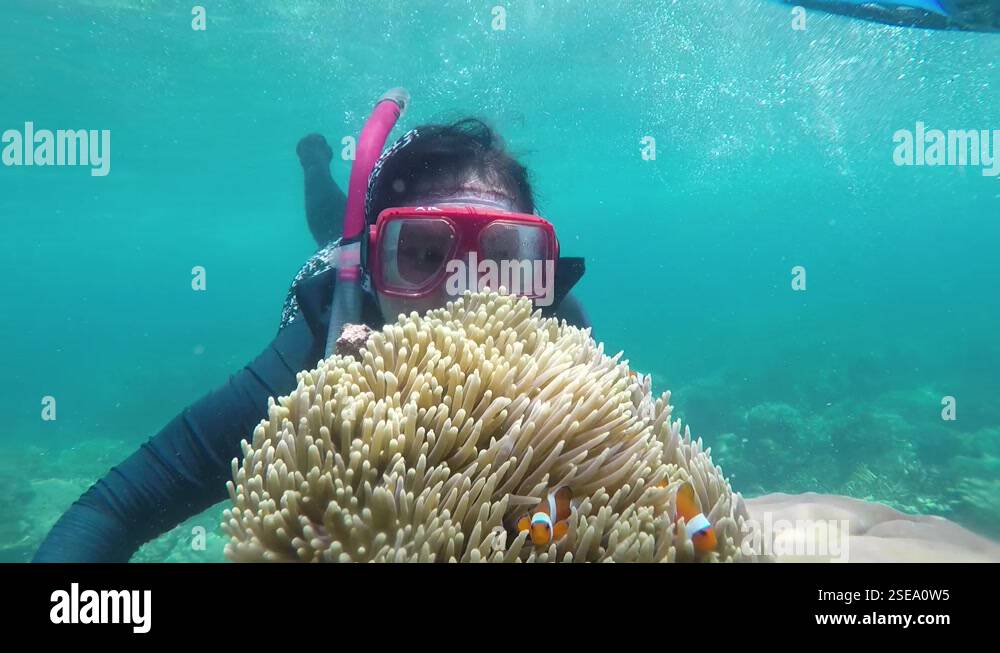 Happy woman diving and playing with clown fish at Karimun Jawa Stock ...