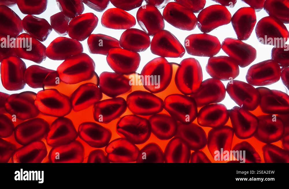 Juice is flowing on the red grains of pomegranate laying on a shining ...