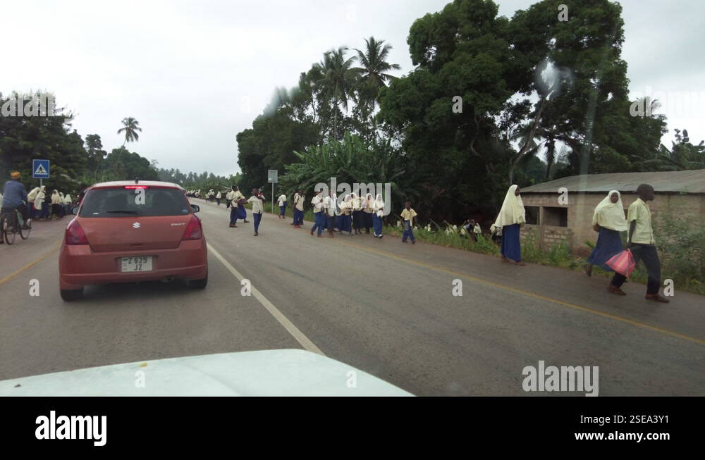 Crowd of African school children run out onto road in local village, driving car Stock Video ...