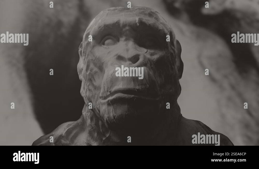 Paleolithic sculpture Stock Videos & Footage - HD and 4K Video Clips ...