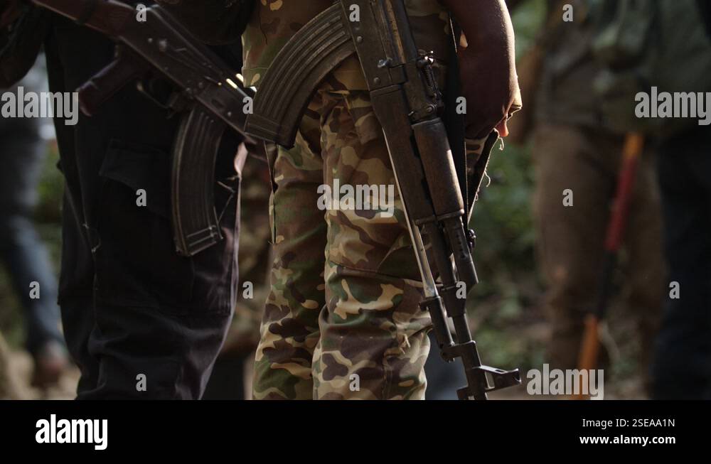 Protectwildlifehabitats Stock Videos & Footage - HD and 4K Video Clips ...