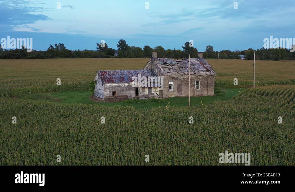 Cornfield and house Stock Videos & Footage - HD and 4K Video Clips - Alamy