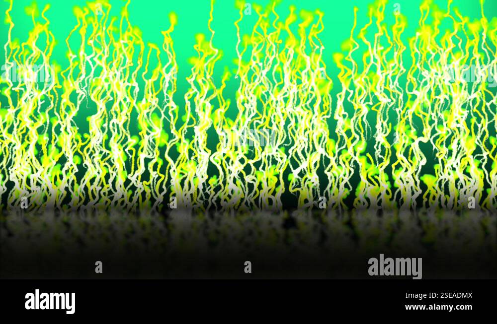 Free-form clouds like small green leaves With yellowtail Is moving ...