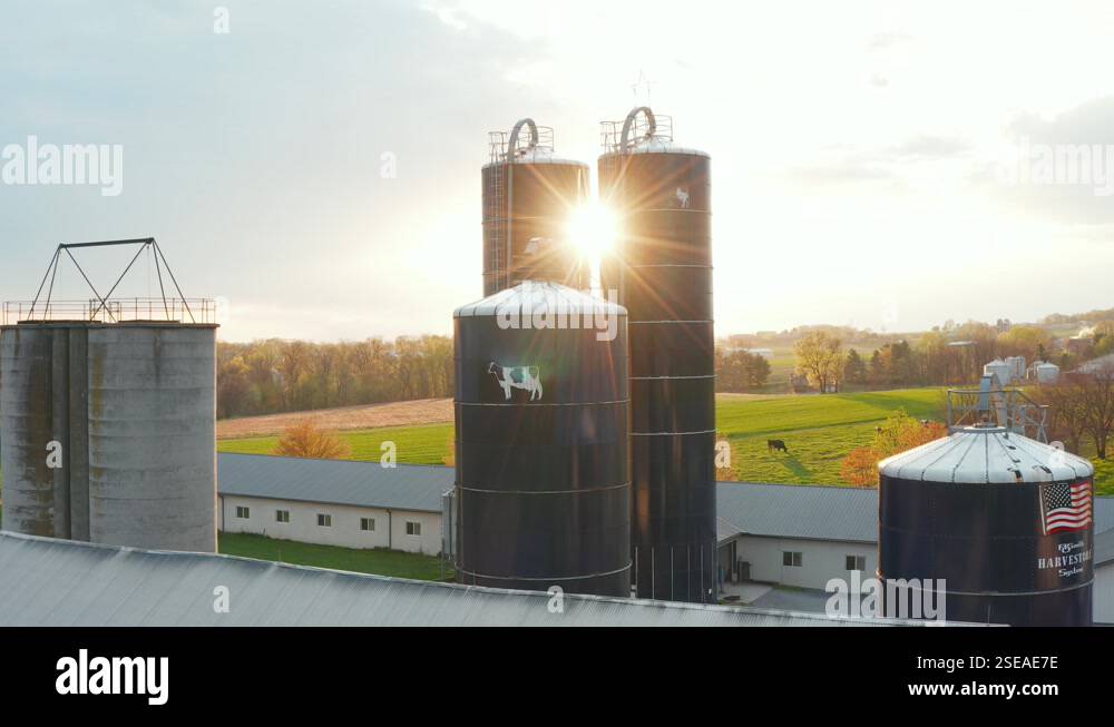 Grain forage Stock Videos & Footage - HD and 4K Video Clips - Alamy