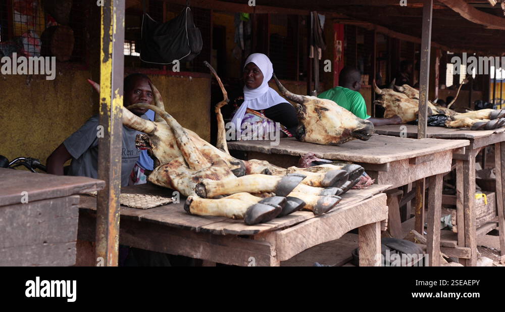Outdoor butcher shop beef feet heads northern Ghana Africa 4K Stock ...