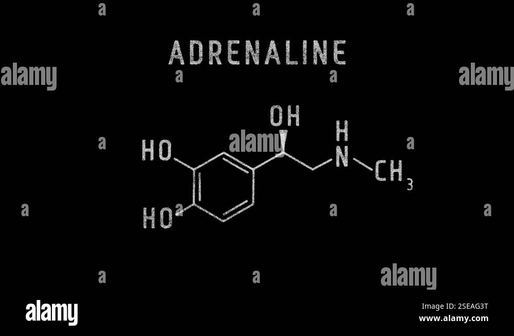 Adrenaline molecular structure epinephrine Stock Videos & Footage - HD ...