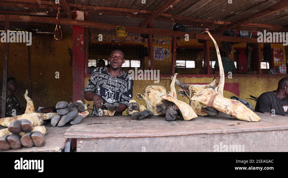 Meat market beef legs butcher north Ghana Africa 4K Stock Video Footage ...