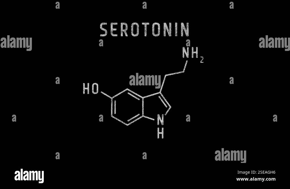 Serotonin or Hydroxytryptamine Molecular Structure Symbol Sketch or ...