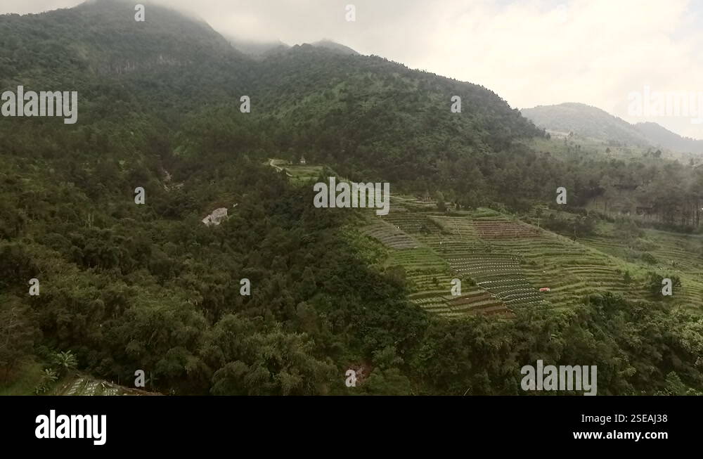 Aerial drone footage green rainforest and farm field landscape view ...