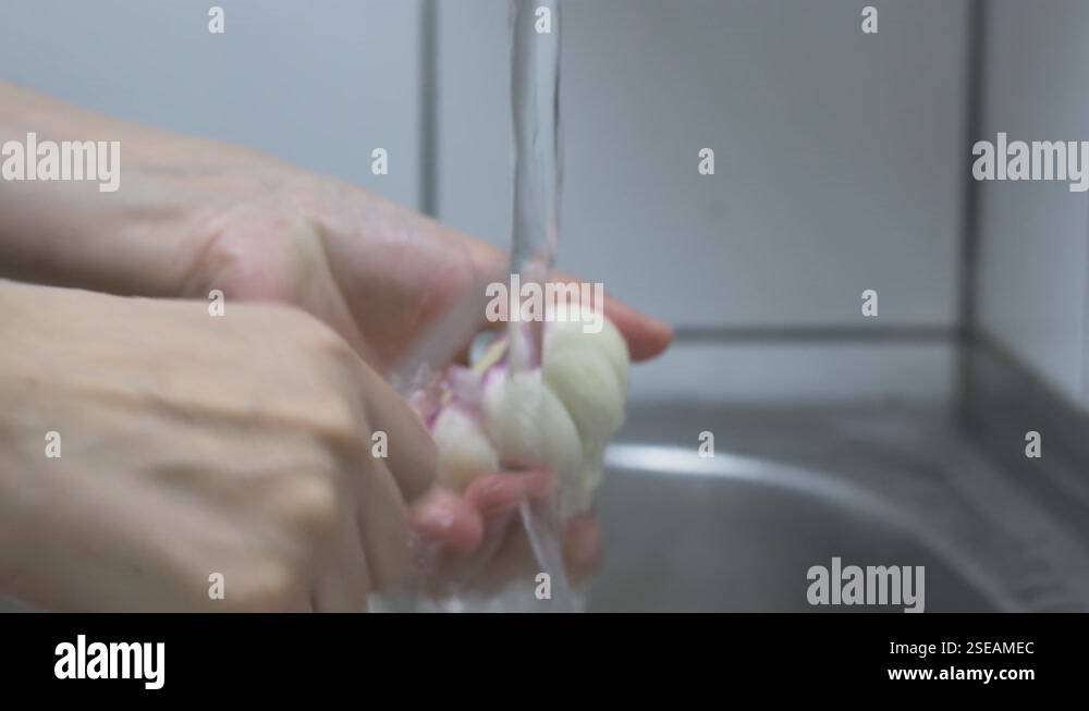 Woman washing garlic in the kitchen. Woman cleans organic garlic under ...