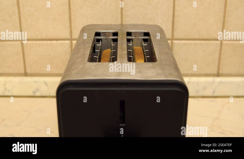 Finished toasts jump out of the toaster. Bread toasted close-up ...