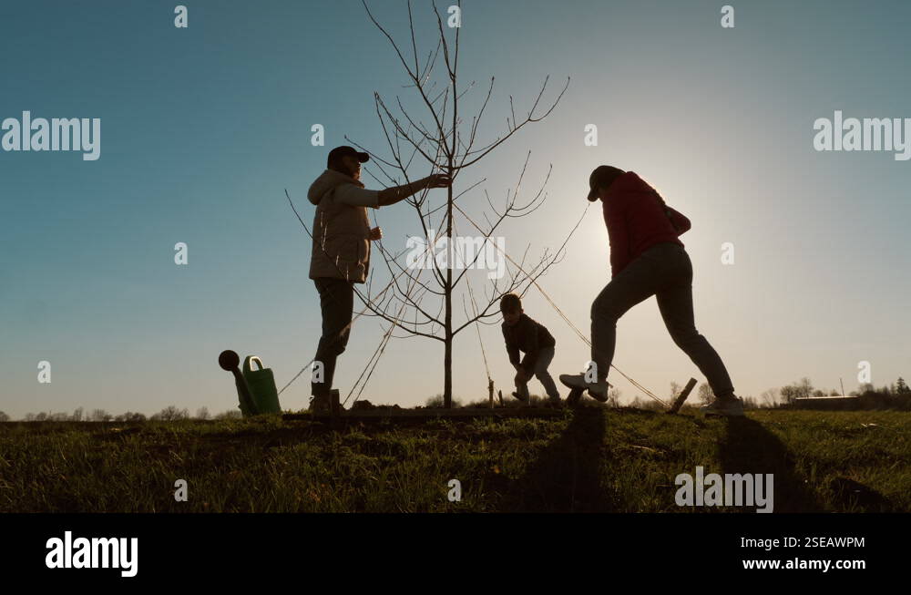 A woman with her children caring for a planted tree in nature Stock ...