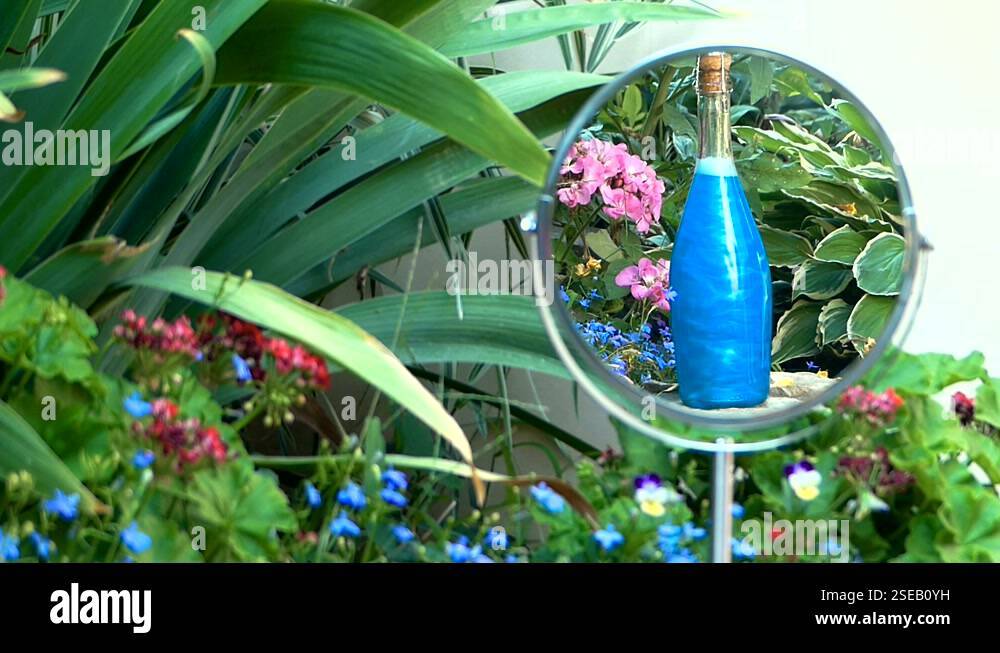 Reflected bottle Stock Videos & Footage - HD and 4K Video Clips - Alamy