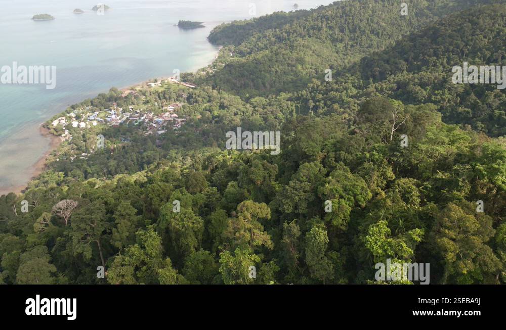backwards Aerial shot of dense tropical forest with ocean and islands ...