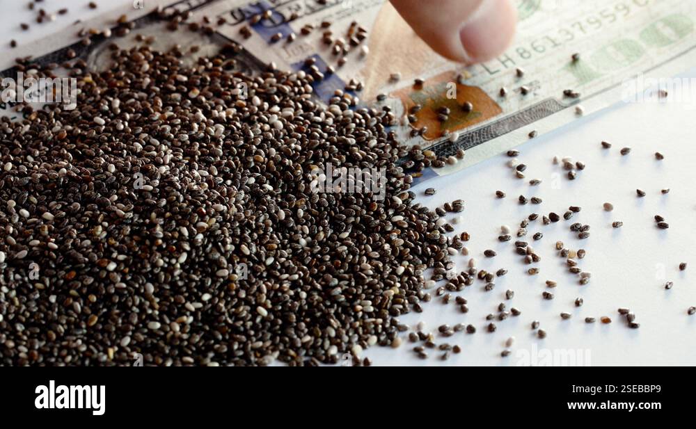 A hand pulls out a 100 dollar bill covered with chia seeds. Close-up 4K ...