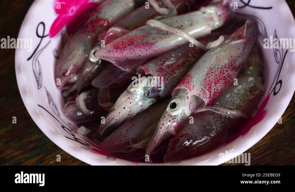 Stunning sea squids changing color from a fishing batch Stock Video ...