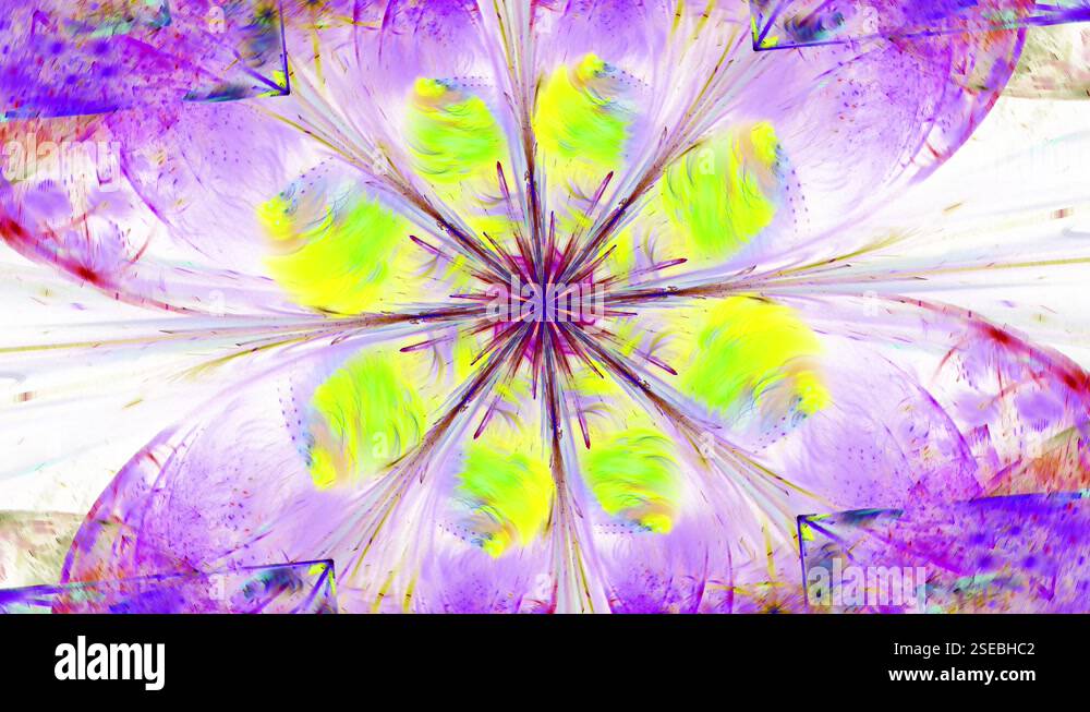 Loop able 4k digital changing flower background in changing colors ...