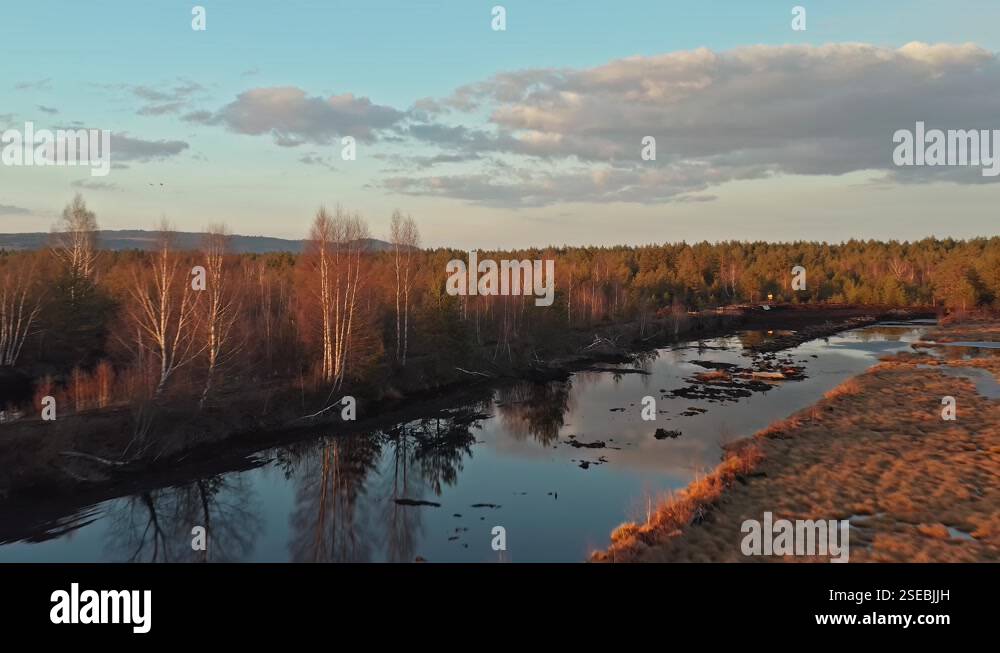 Habitat in marshy areas Stock Videos & Footage - HD and 4K Video Clips ...