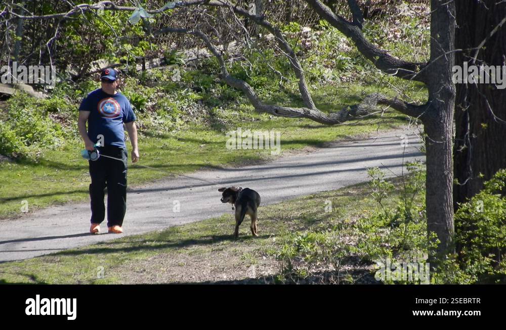 Walking dog along pathway Stock Videos & Footage - HD and 4K Video ...