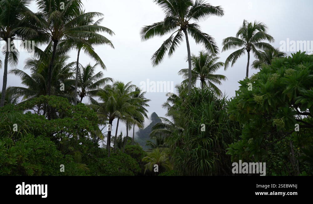 Bora Bora and Mount Otemanu in Tahiti, French Polynesia. Video with ...