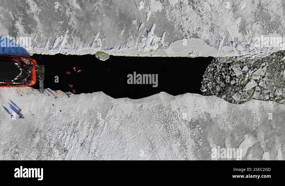 Crews Of An Ice Breaker Vessel Swimming In Ice Cold Water During Winter ...