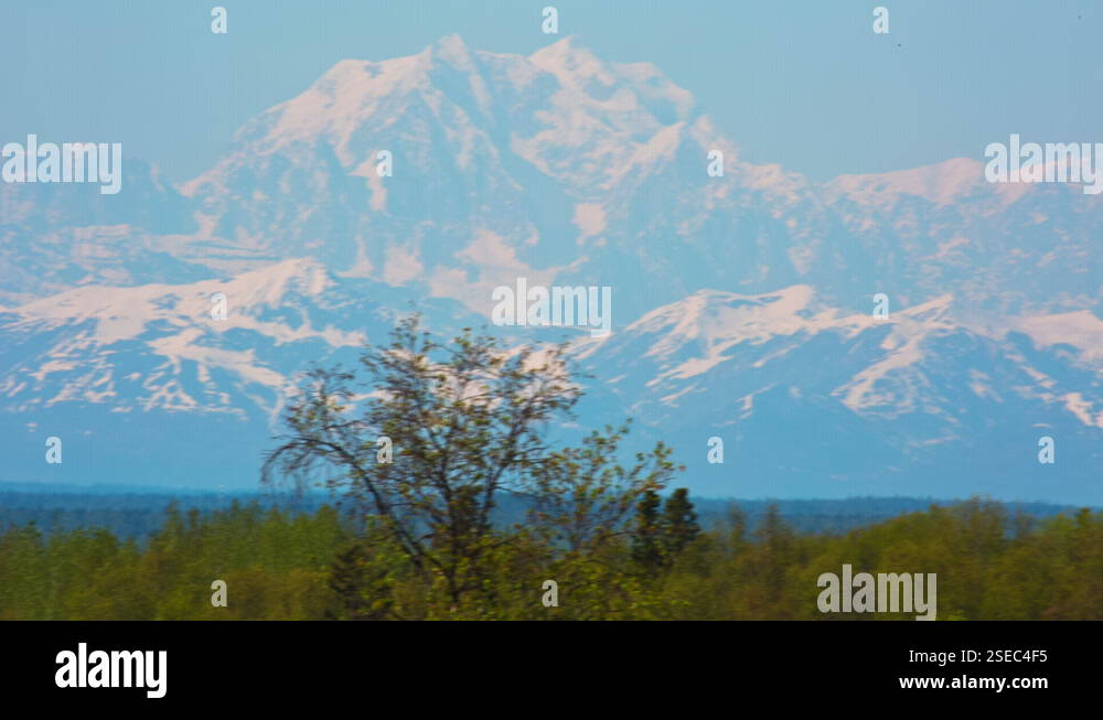 Panning Shot Of Scenic Shot Of Snow Covered Mountains In Forest Against ...
