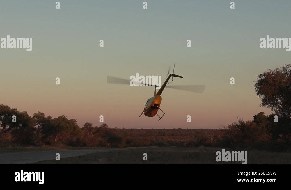 Helicopter takes off and turns around in African bushland at dusk Stock ...