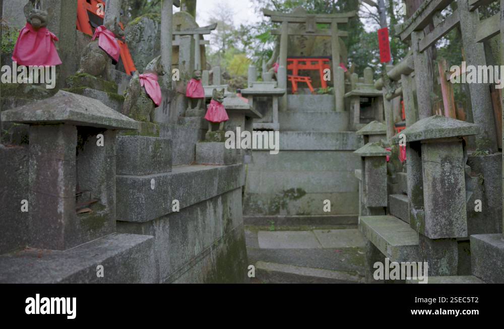 Fox shrine japan Stock Videos & Footage - HD and 4K Video Clips - Alamy