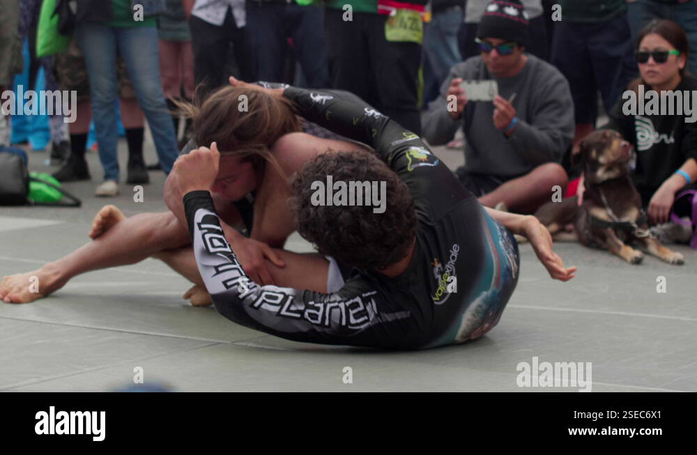 Cannabis Festival Event Brazilian Jiu Jitsu Competition 4K Stock Video ...