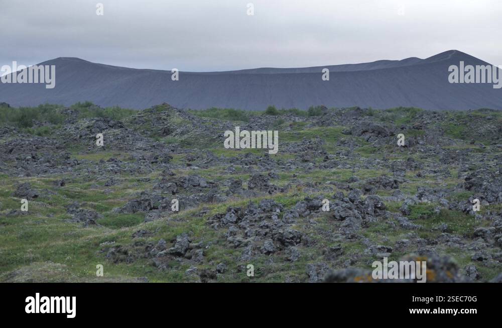 Hardened lava field at lake Mývatn Iceland with Hverfjall volcano ash ...