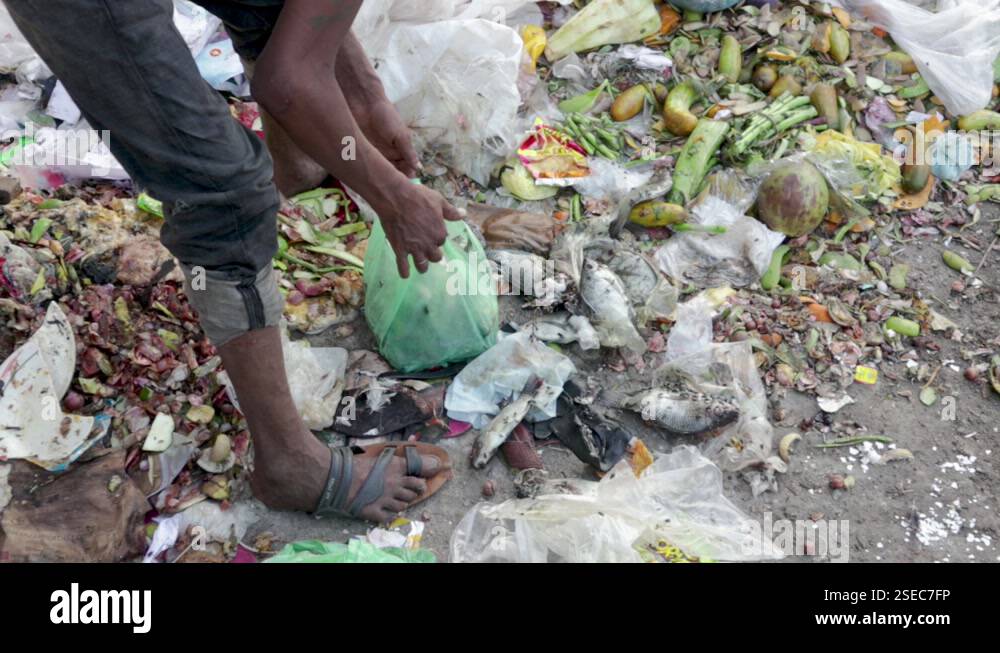 Homeless Man Picking Fish from trash to eat at Mirpur in Dhaka ...