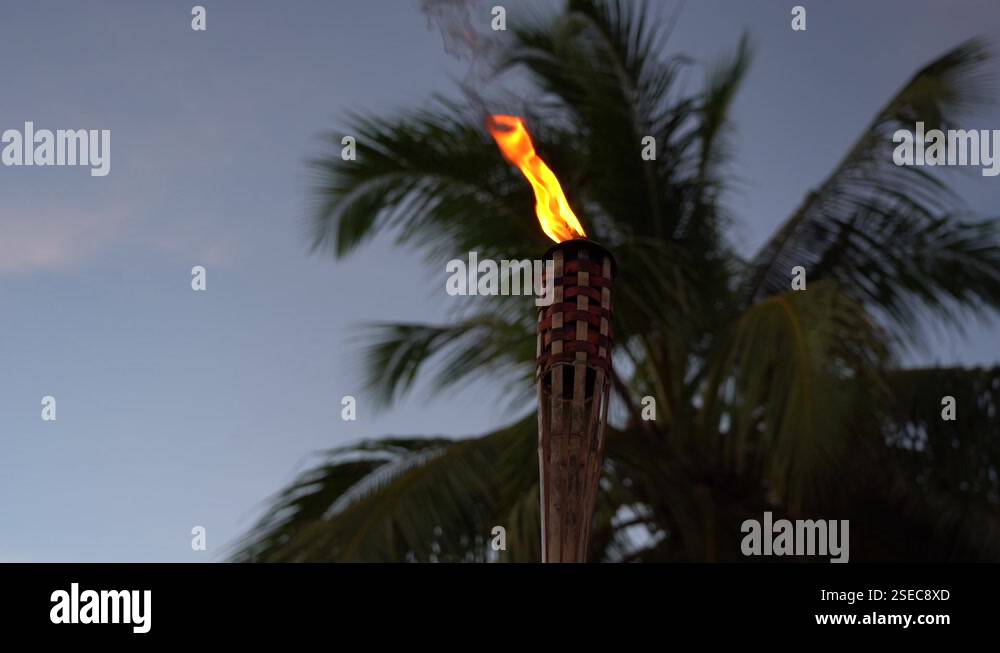 Flame form tiki torch at sunset with silhouette of palm tree in slow ...