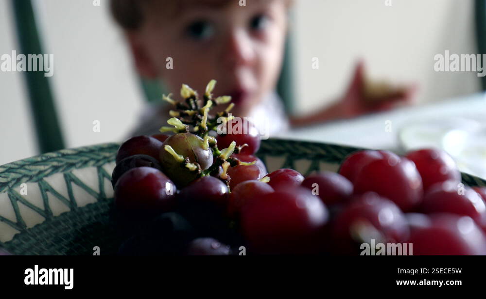 Child hand grabbing grape fruit. Toddler boy picking grapes from plate ...