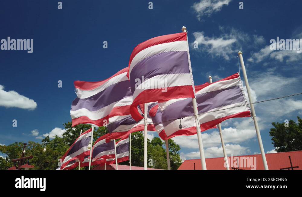 Multiple Thai National Flags waving in the wind with bright blue skies ...
