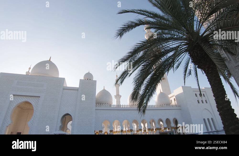 Plam tree in front of the Sheikh Zayed Grand Mosque in Abu Dhabi Stock ...