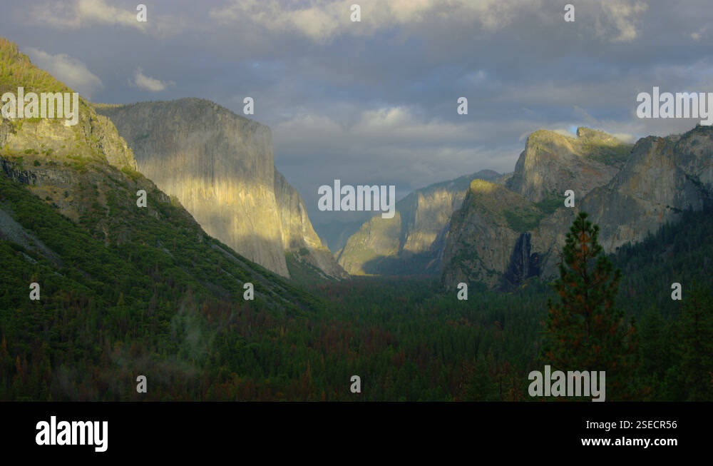 8K evening light on El Capitan climbing summit in scenic Yosemite ...