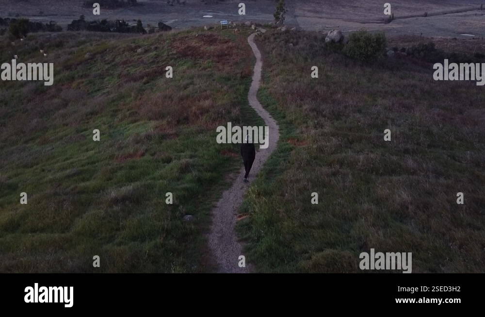 Person walking alone on mountain path in tilting up drone view Stock ...