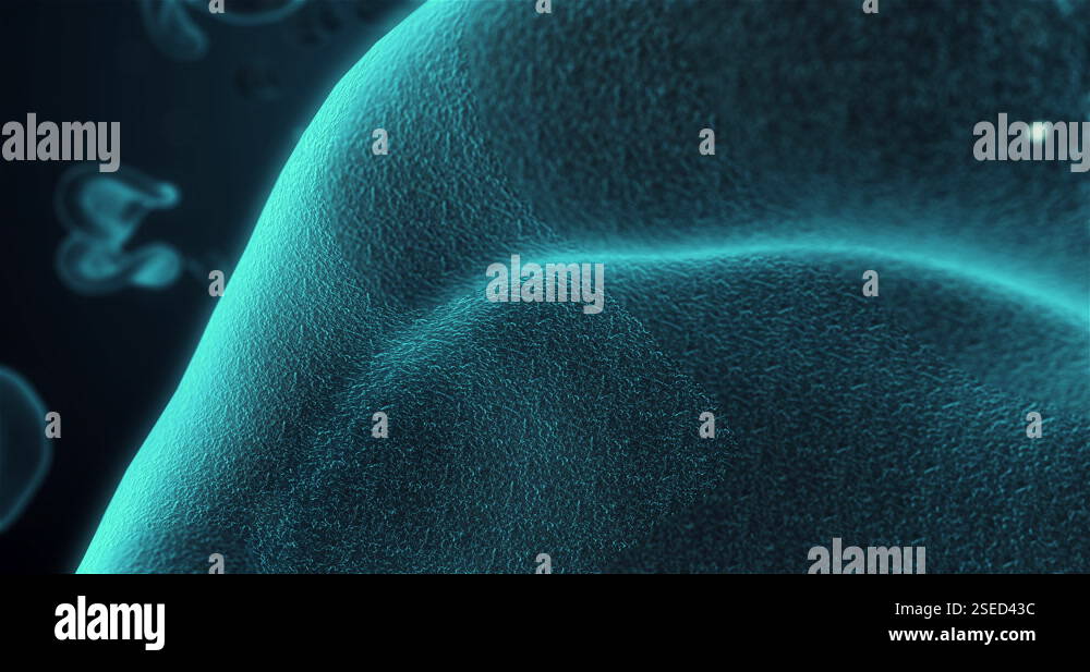 Organic cell moving in human tissue, microscopic view Stock Video ...