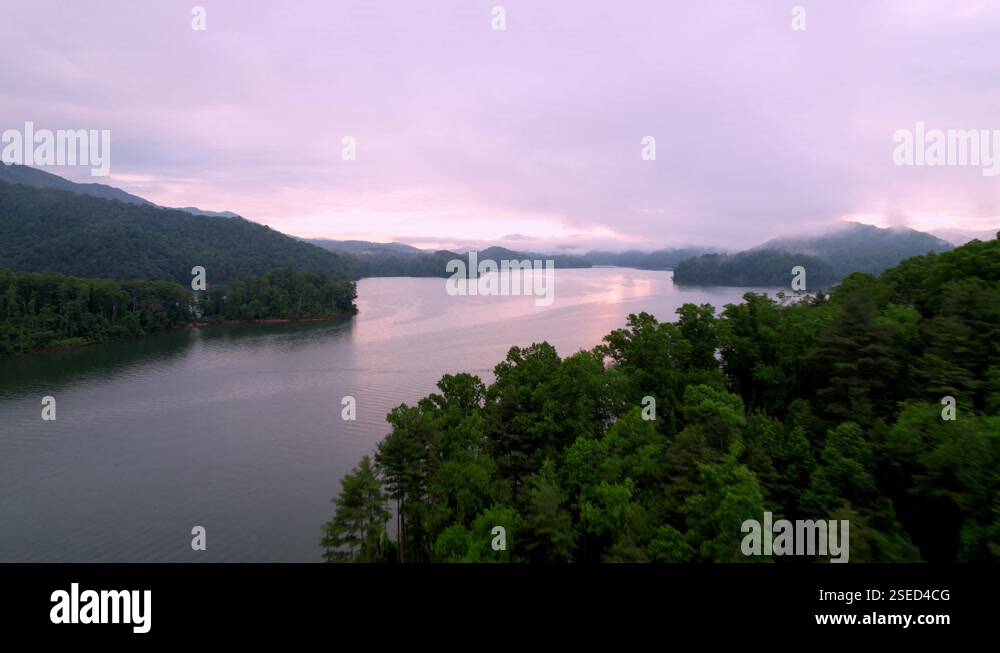 Watauga lake revealed through treetops aerial in east tennessee near ...
