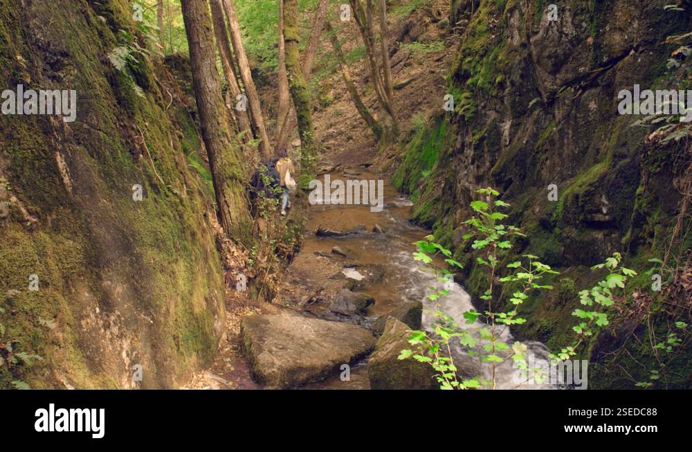Forest path at mountain slope Stock Videos & Footage - HD and 4K Video ...