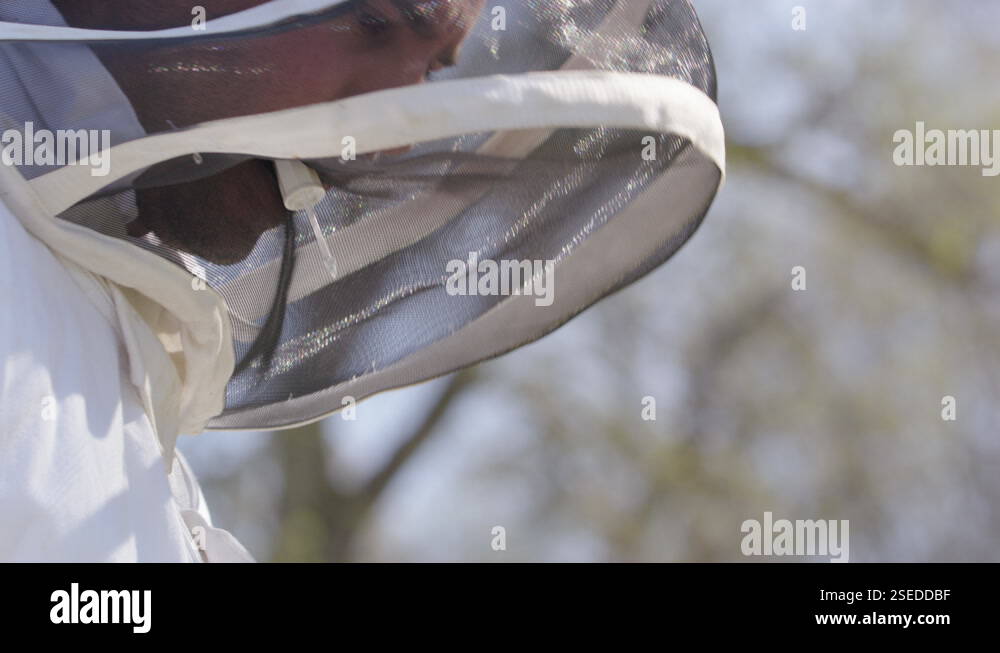 BEEKEEPING - Beekeeper marks the queen bee in a beehive frame, close up ...