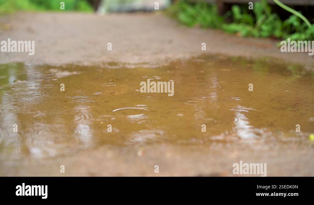 rain drops raining into a puddle on a sandy road in slow motion Stock ...