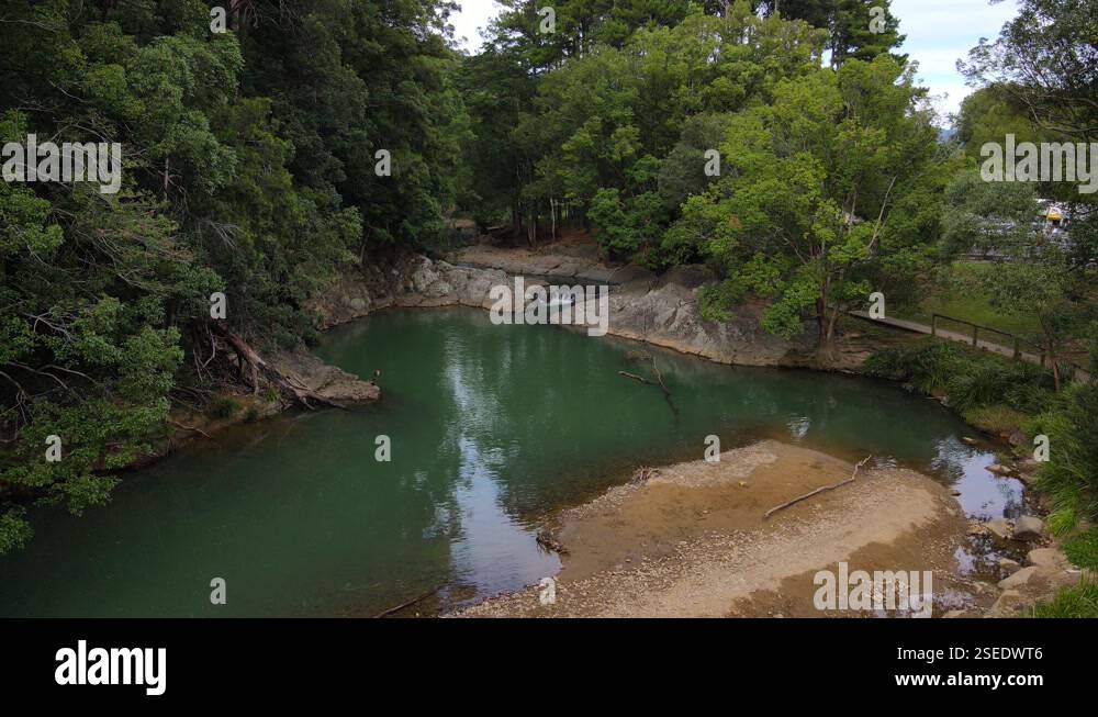 Lush Green Forest At The Riverside Of Currumbin Rock Pools In Gold ...