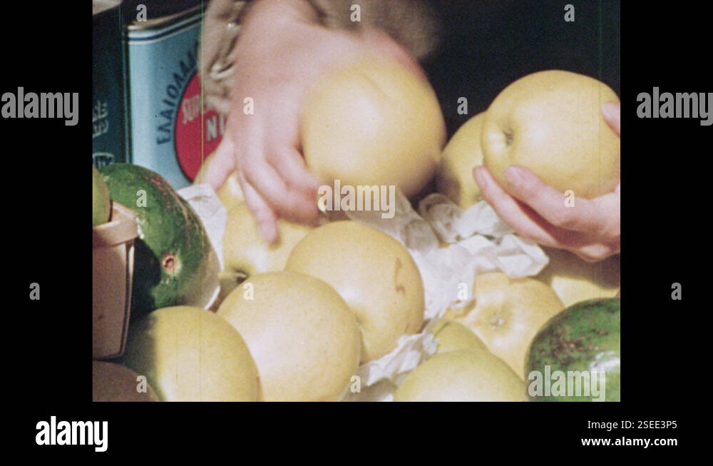 1970s: Hand inspects tomatoes in store. Squirrel in grass. Hand grabs ...