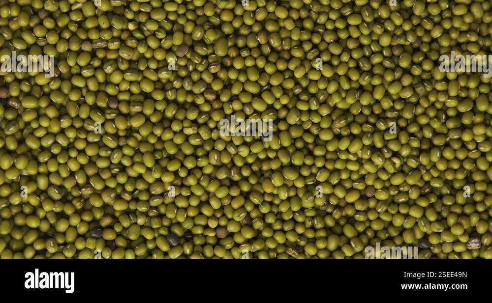 Mung bean rotates. Picture with green gram is moving in circular ...