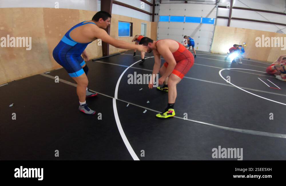 Pair of heavy weight wrestlers going live during a coed group wrestling ...