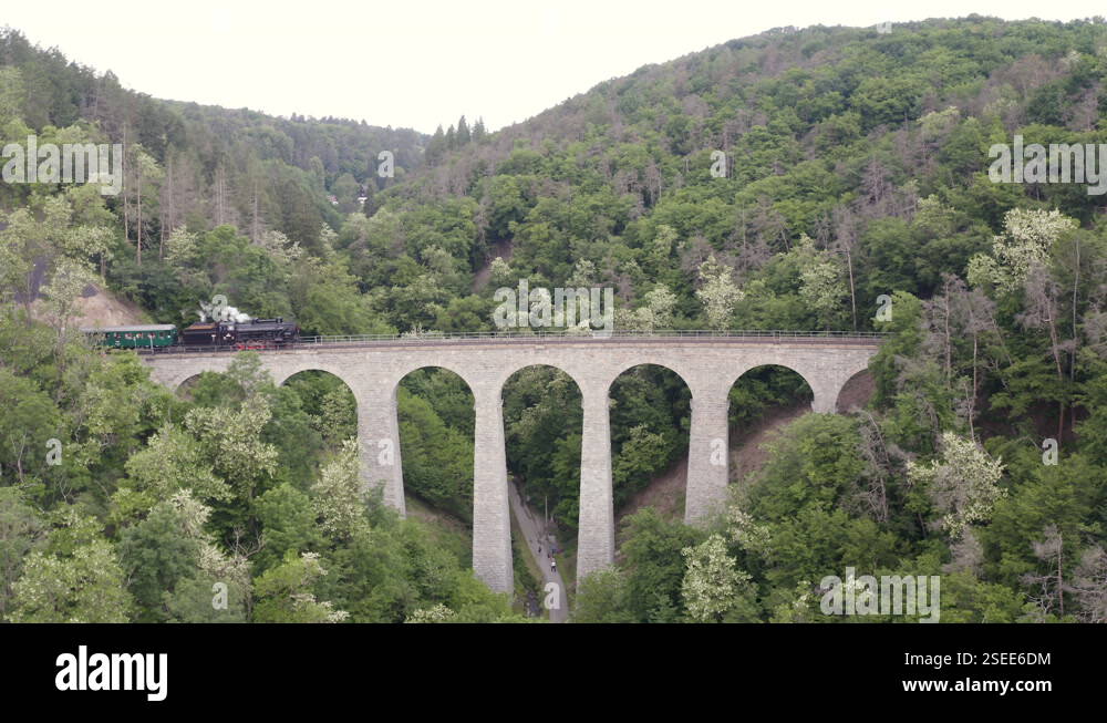 Steam engine train crossing a mountain valley over a stone viaduct ...