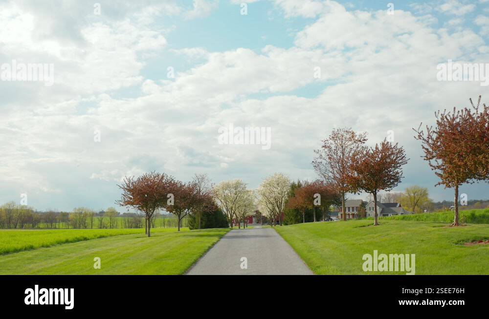 Tree lined farm lane leads to family farm buildings in rural scene ...