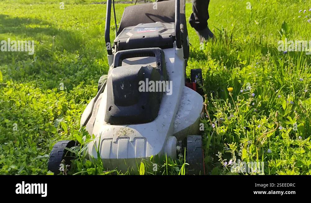 People cutting grass with a mower and a gasoline trimmer in the ...